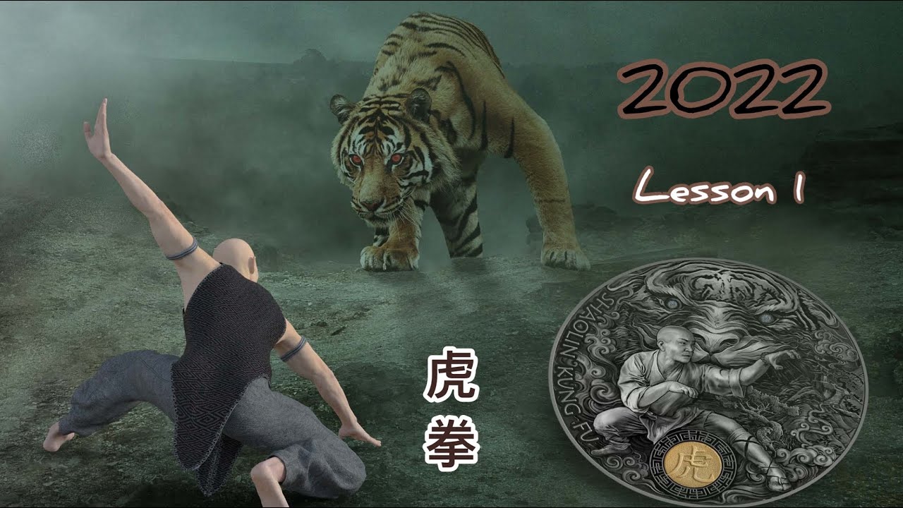 Southern tiger Kung fu lesson 1 in 2022 / 5 basics , 3 combo , 1part of ...