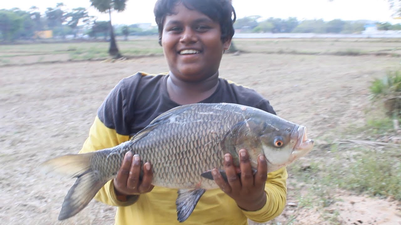 Amazing catla Fish Catching in the LAKE - YouTube