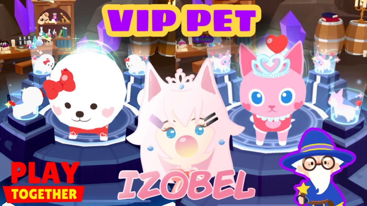 HOW TO GET VIP PET COSTUME? 🐶🐱| PET COMBINATION TUTORIAL | VALENTINE EGGS | PLAY TOGETHER ...