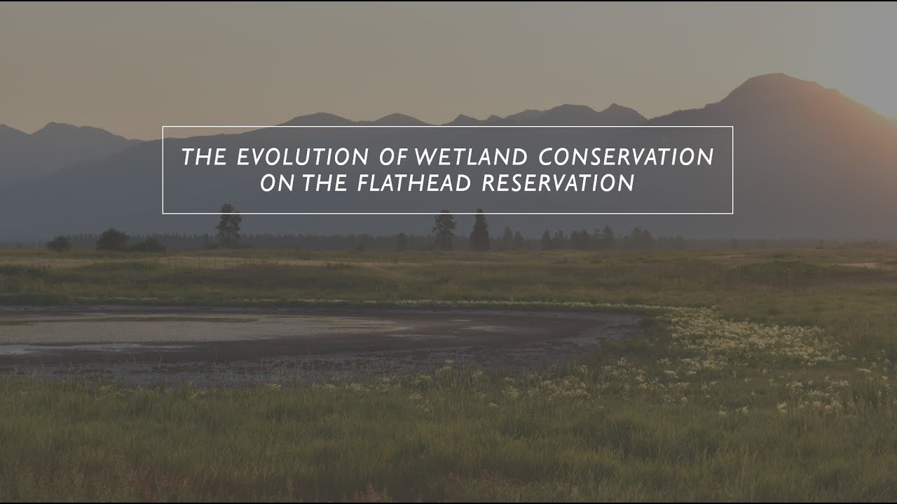 4 - The Evolution of Wetland Conservation on the Flathead Reservation ...