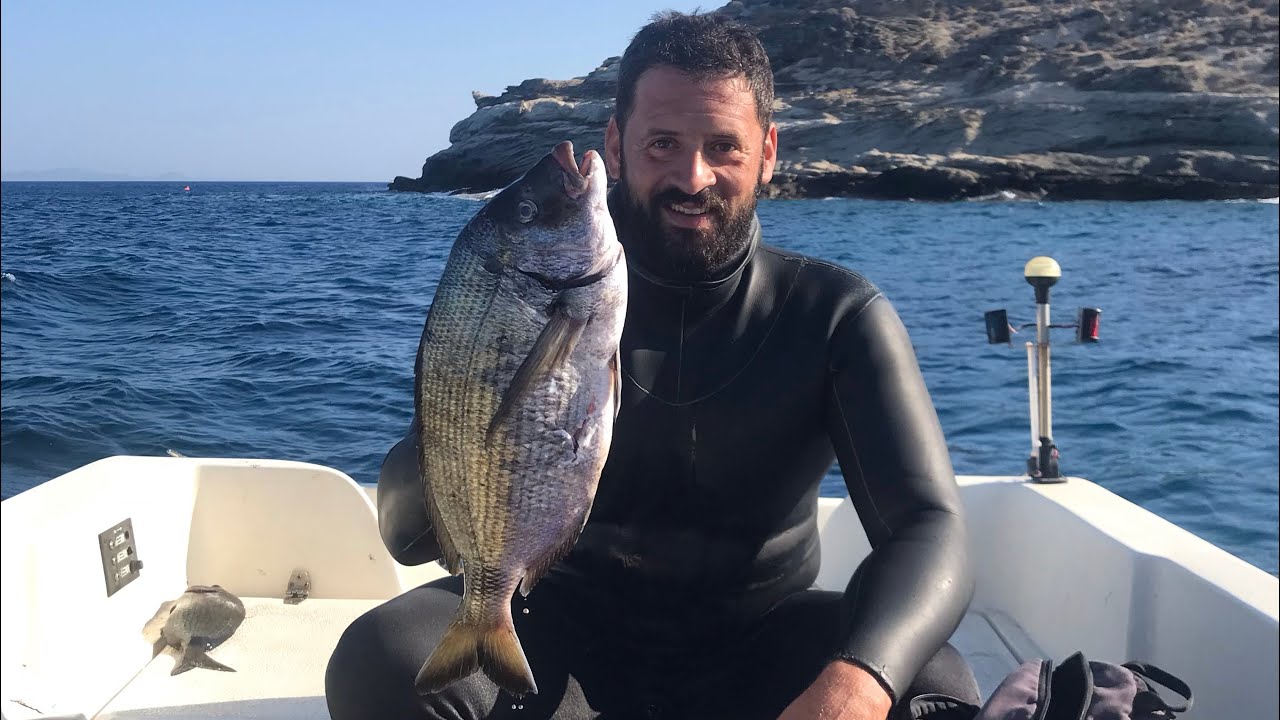 Ψαροντουφεκο σαργοπαππους🐟🐟🐟white sea bream spearfishing - YouTube