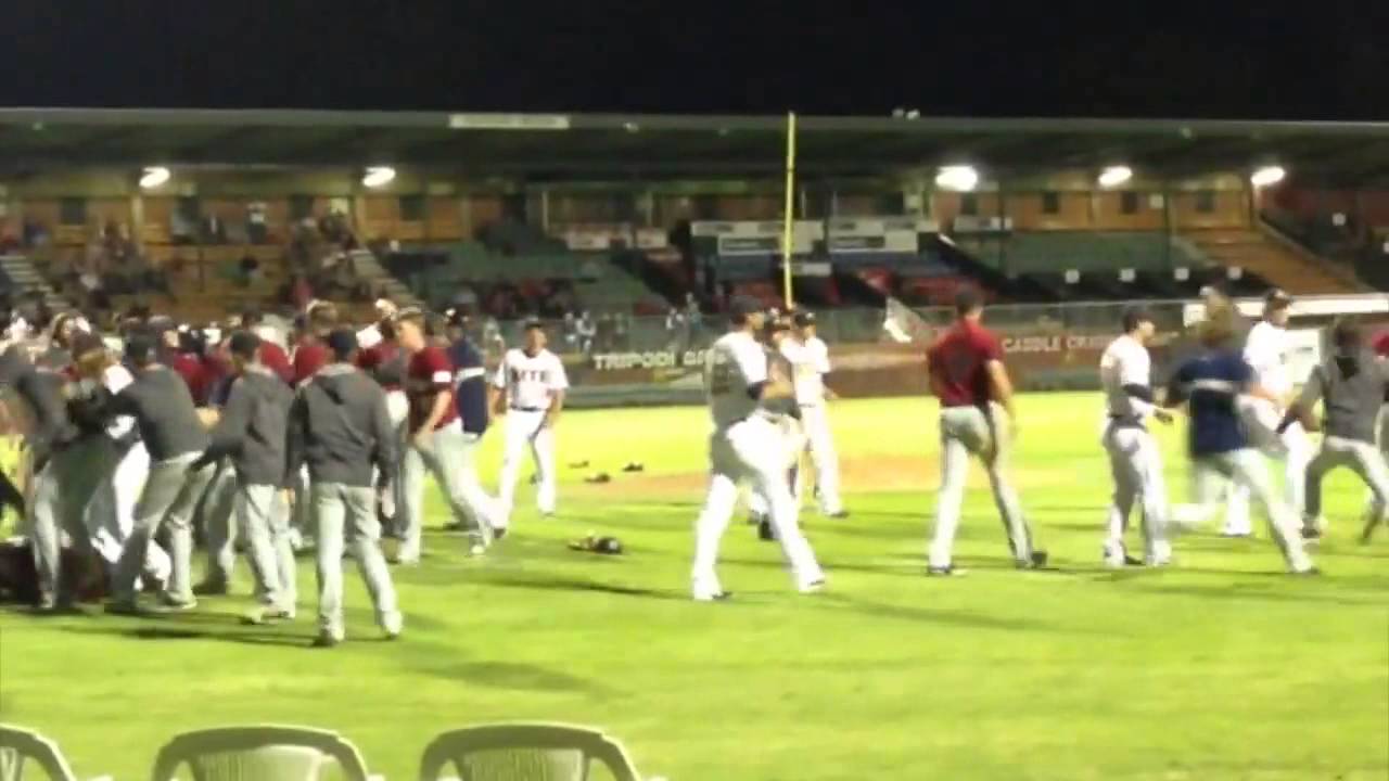 Melbourne Aces at Adelaide Bite Baseball Brawl - YouTube