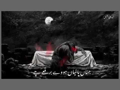 Shabbir ص Kaya Aey Akbar ص nu - Shia Ali Official - Status Clip