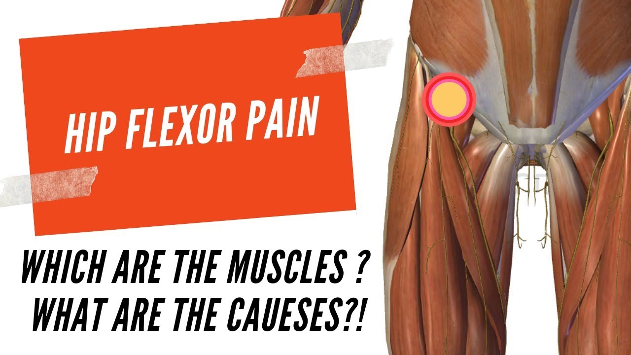 Physical Therapy - Hip Flexor Pain | Which Muscles And What Causes The ...