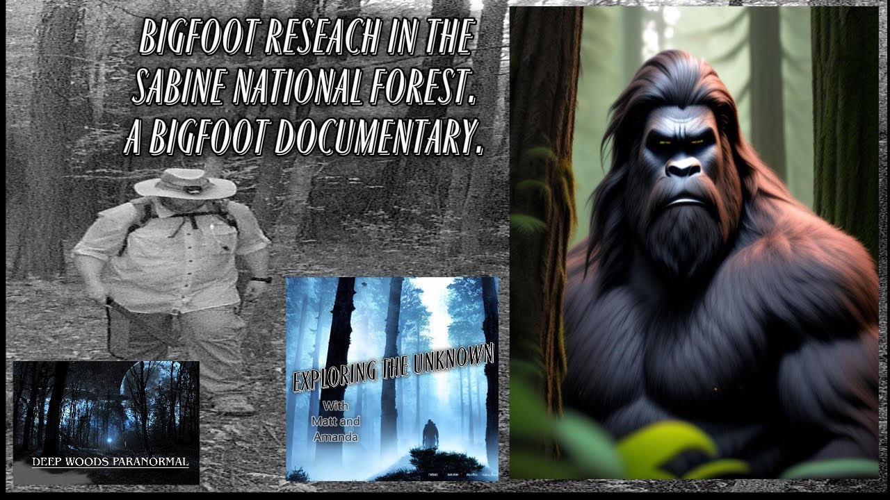 Exploring Mysterious Bigfoot Activity: Night Investigation Begins - YouTube