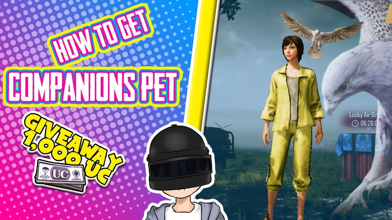 [GIVEAWAY] NEW! How to get Pet Companions on PUBG Mobile || PUBG Mobile ...