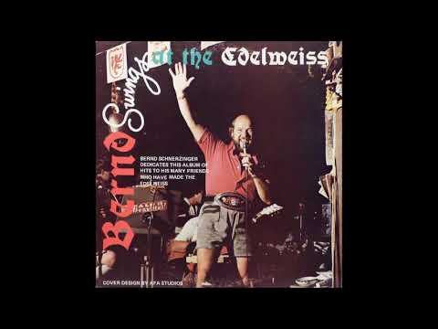 Bernd Schnerzinger - Teddy Bear [1970s Lounge Elvis-ism]