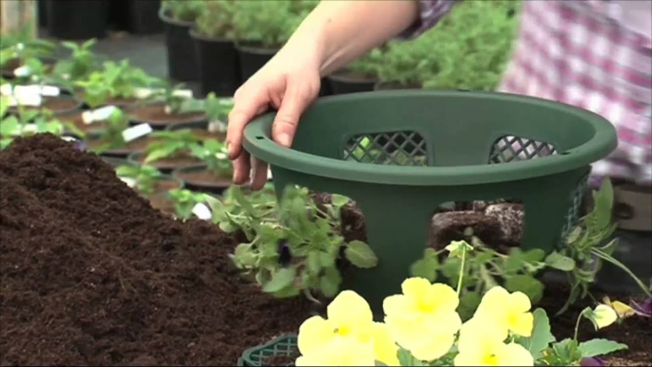 How to Plant your Easi Hanging Basket - YouTube