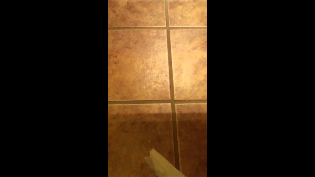 Explosive Diarrhea - YouTube