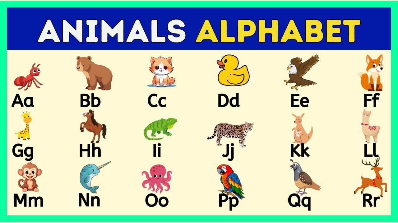 Learn the ANIMALS ALPHABET for CHILDREN -- Phonics -- Sounds -- Letter ...