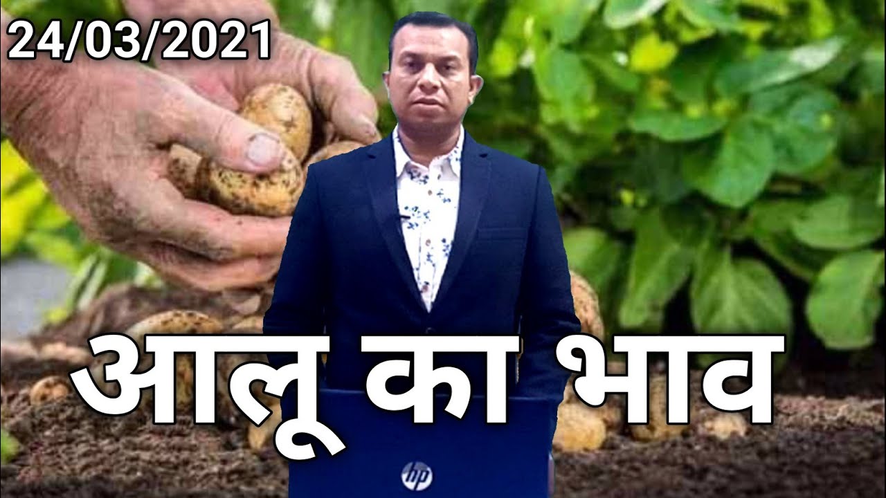 Aaj ka aalu ka bhav, today's potato rate, Mandi bhav Deepak Shukla ...