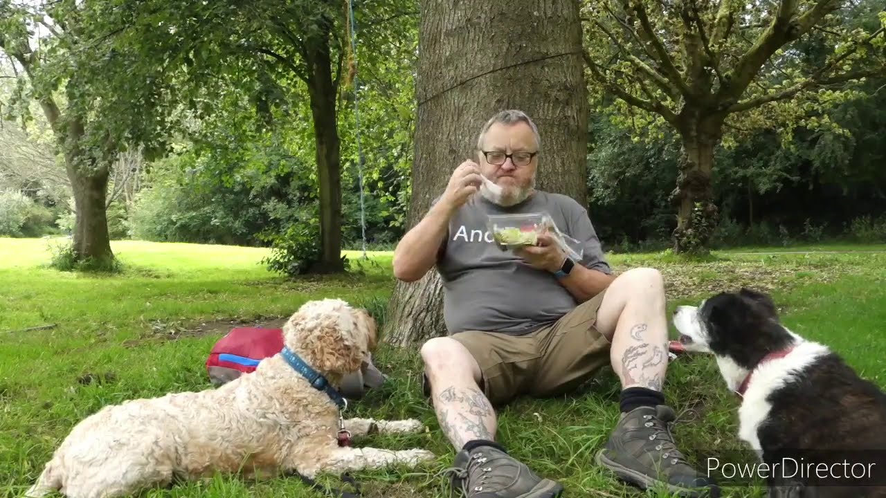 Leave No Trace, Me Time, Tesco Caesar Salad, Madeley, Telford 22/7/20 ...