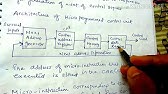 Computer organization and architecture - COA - YouTube