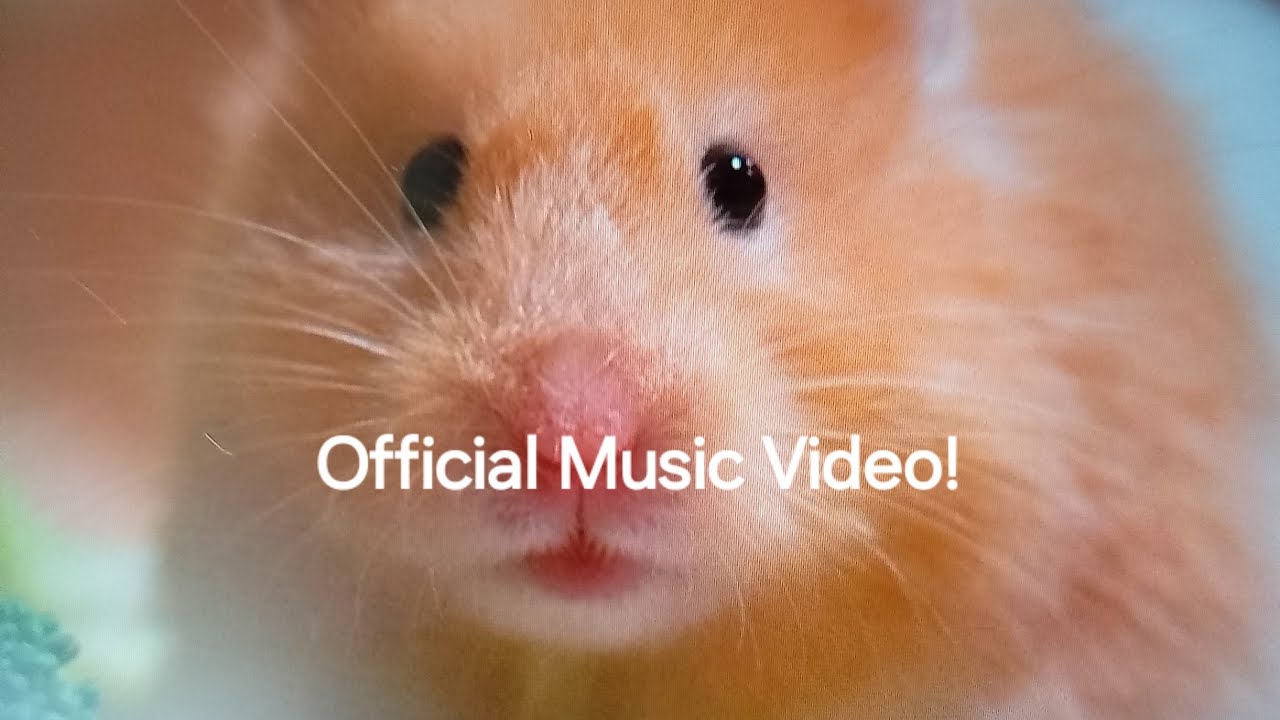 "Hamsters For Life" (OFFICIAL MUSIC VIDEO) (first offical music video ...