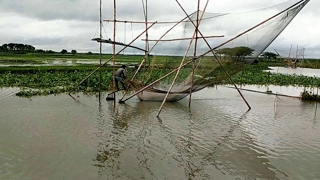 Fish Catching With Bamboo Net Fish Trap - Unique Fish Trap - YouTube