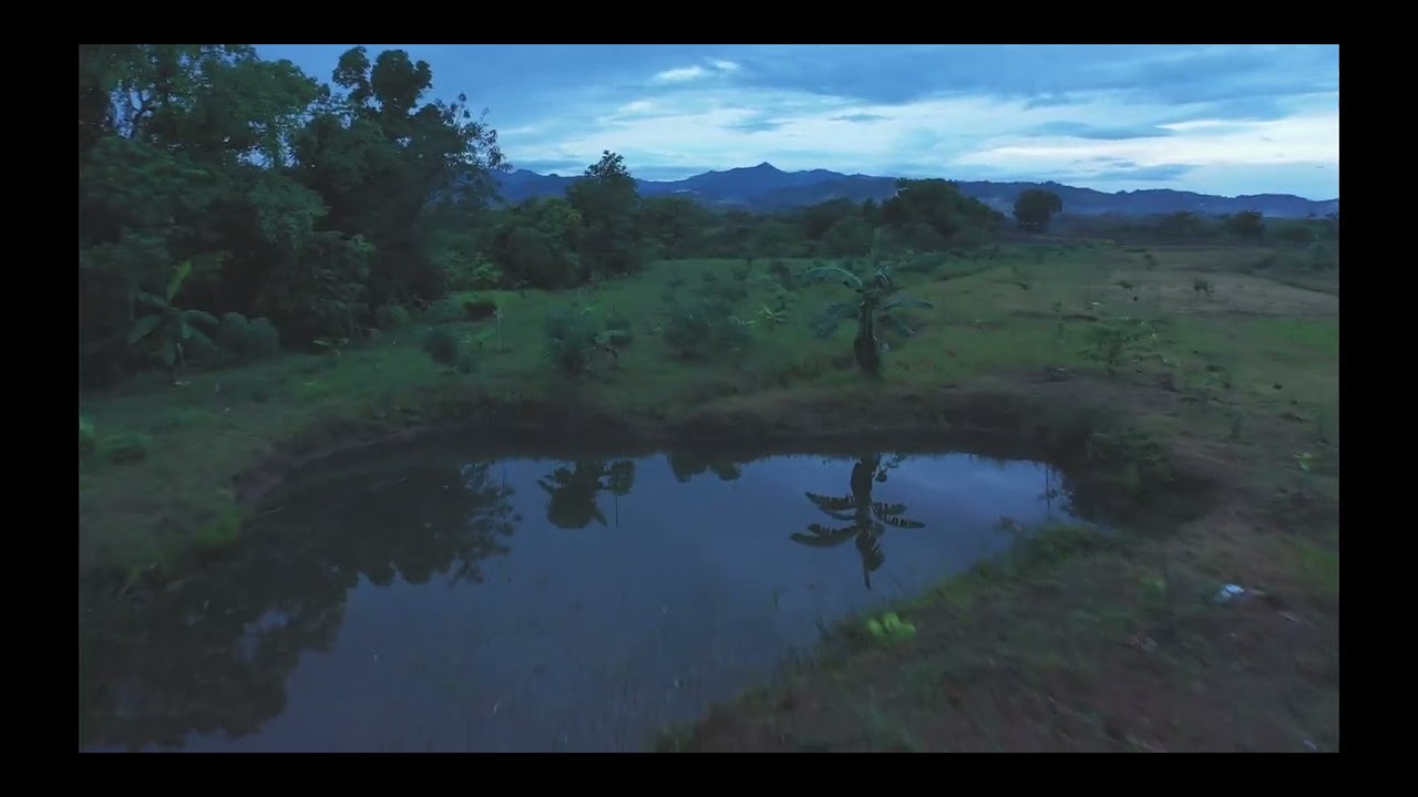 Philippines Native Tree Arboretum 2025 Update at J's Agri-Park - YouTube