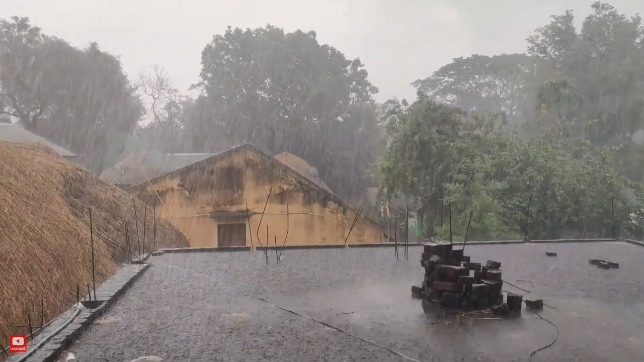 Heavy Rain To Sleep Immediately The Sound Of Rain Wash Away Your ...