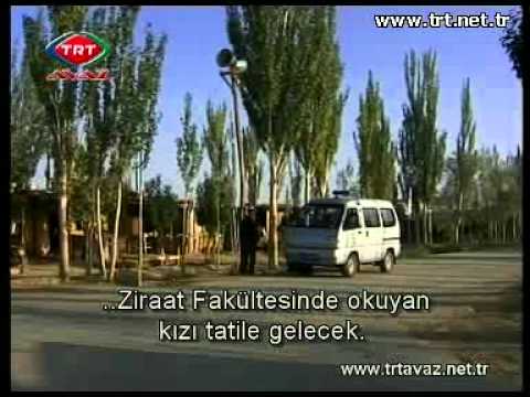 Uygur İnsanları