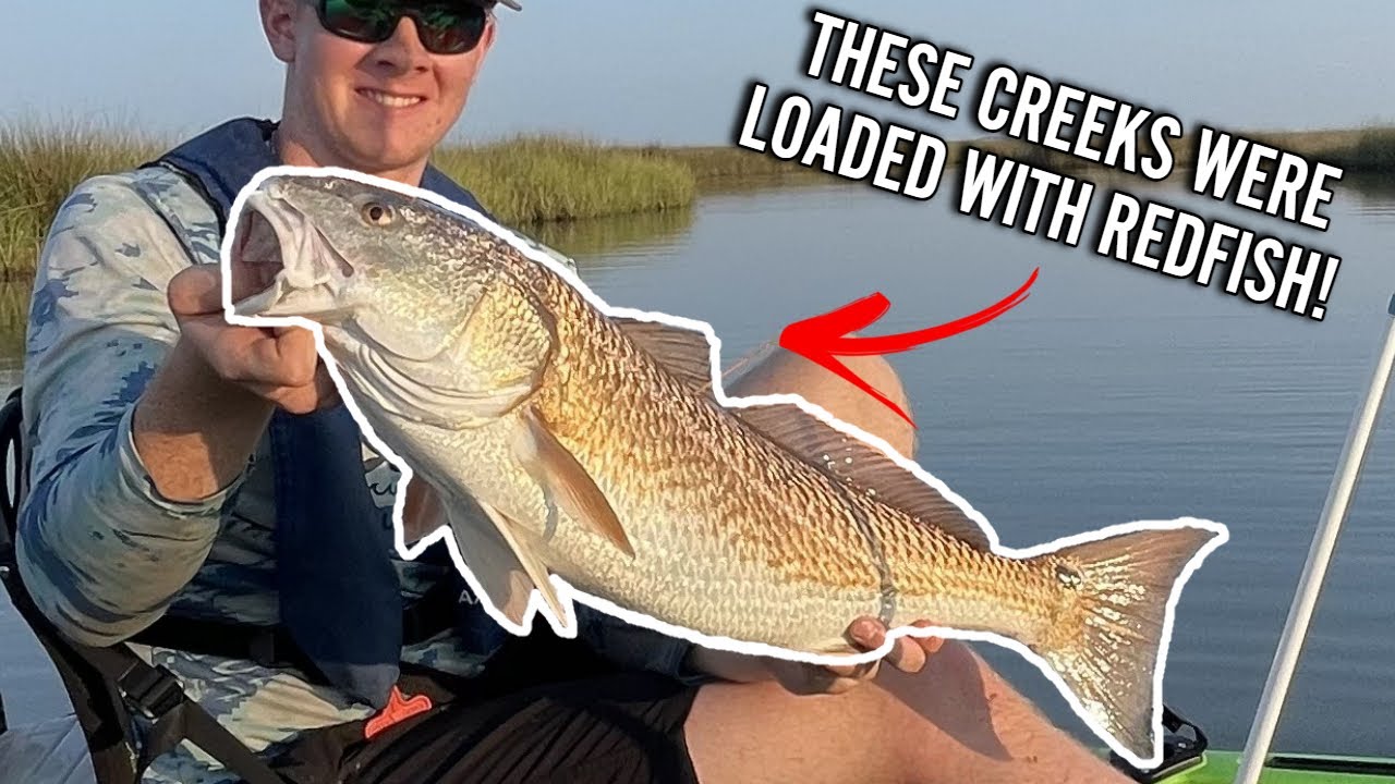 **Huge Redfish and Inshore Slam!!** Kayak Fishing the Marsh! | Heron ...