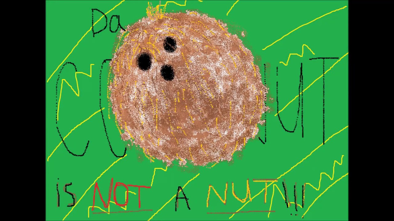 da coconut is not a nut - YouTube