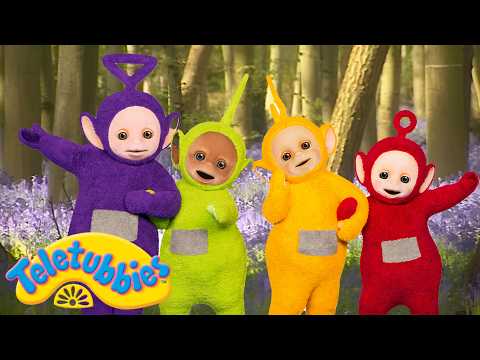 Teletubbies | Spring Nature Walk Exploring Bluebells | Full Episodes