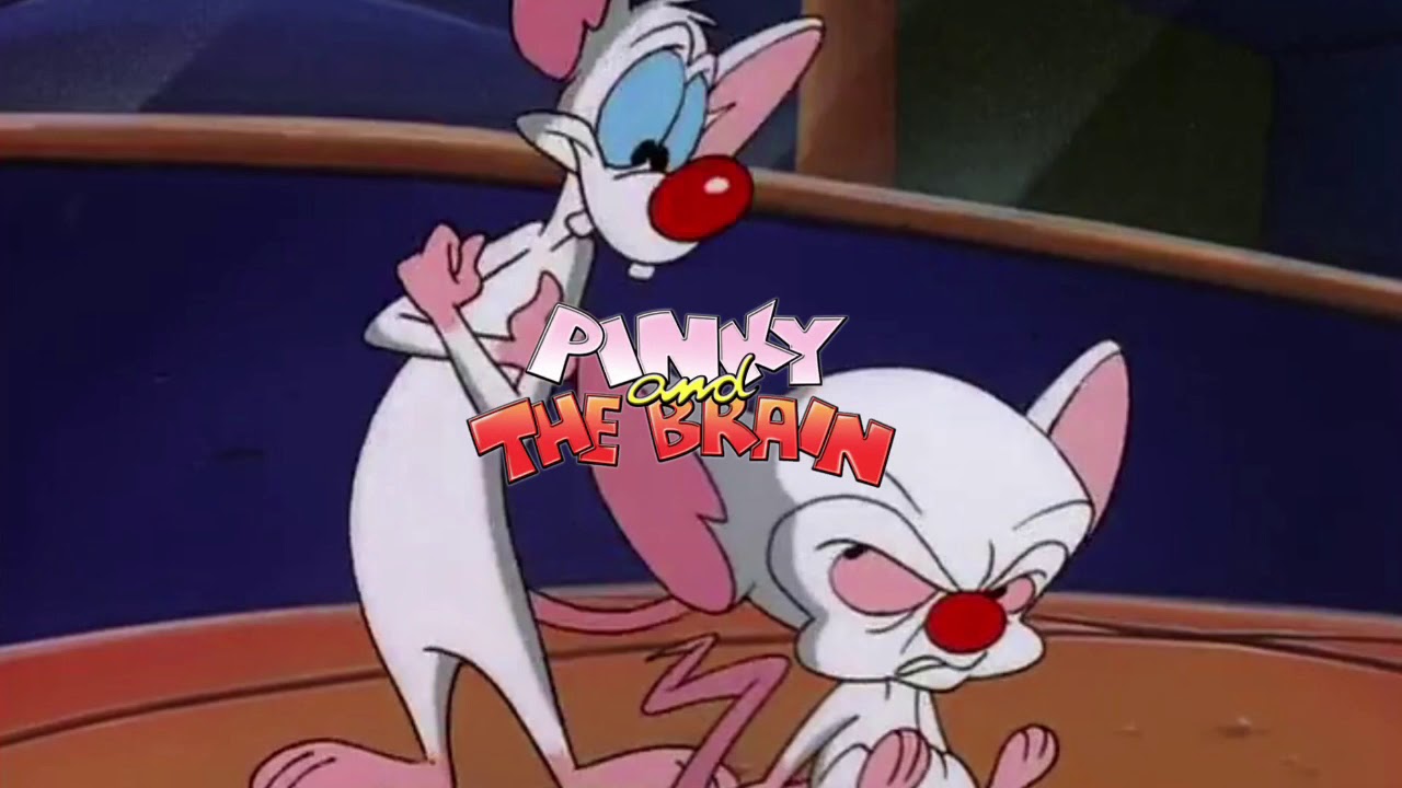 Theme of Pinky and the Brain- Cartoon Medley Rip - YouTube