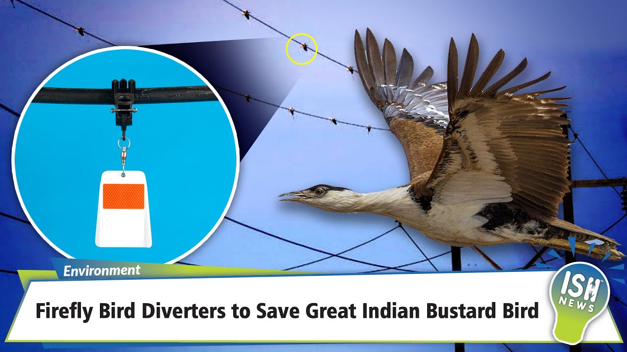 Firefly Bird Diverters to Save Great Indian Bustard Bird - YouTube