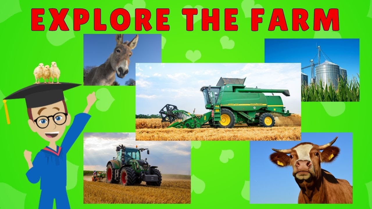 Explore the Farm - Kids Adventure 🚜🐮🐝 - YouTube