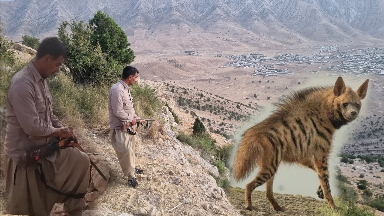 PROTECTING THE FLOCK: Mohammad Defends Against Wild Predators ...