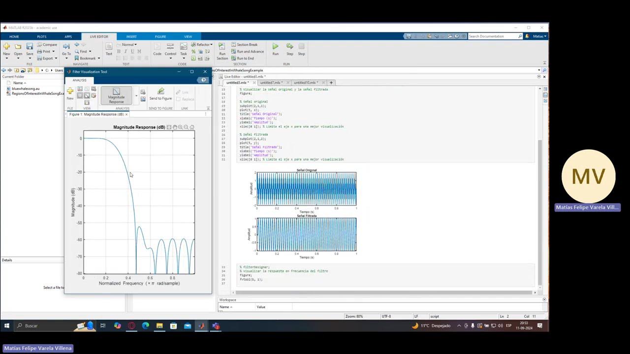 Matlab filtros FIR IIR con filterdesigner "SIGNAL PROCESSING TOOLBOX ...