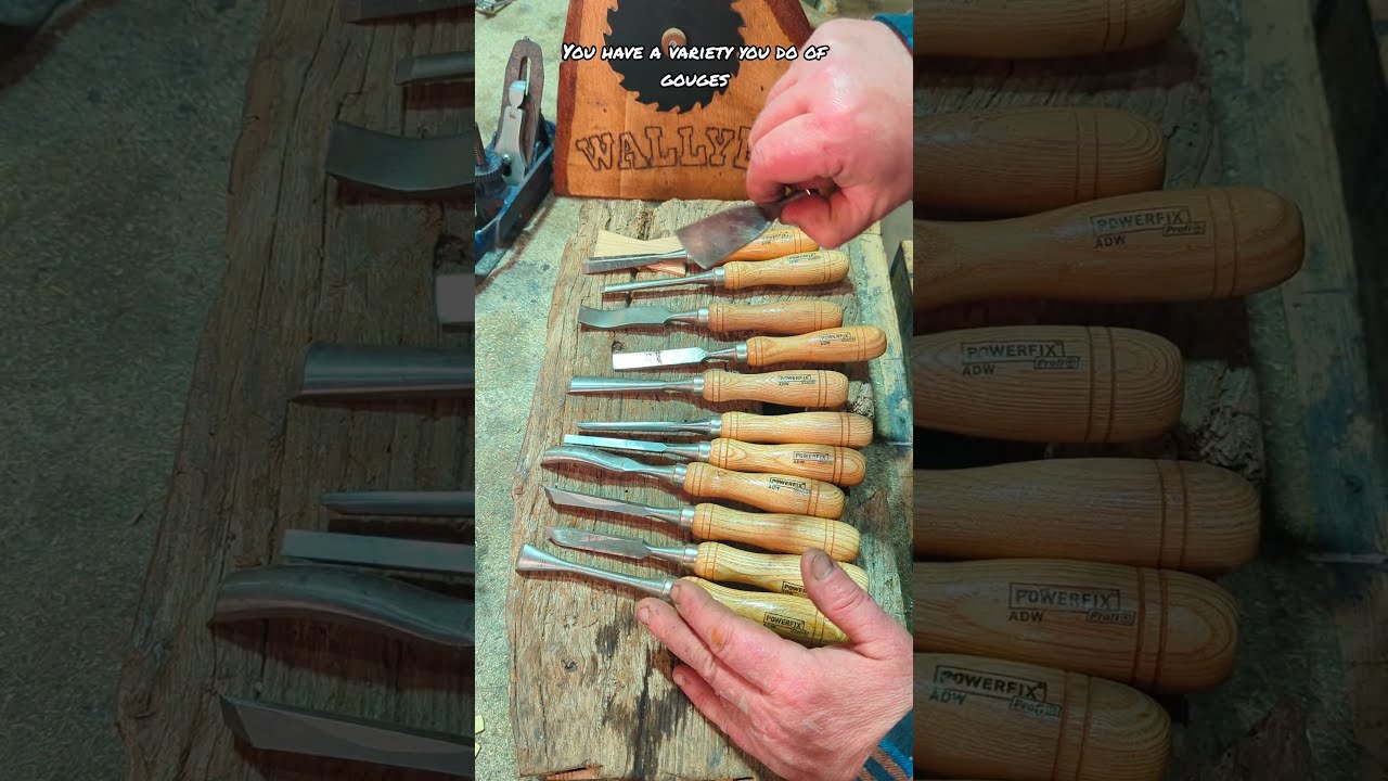 Lidl chisels store