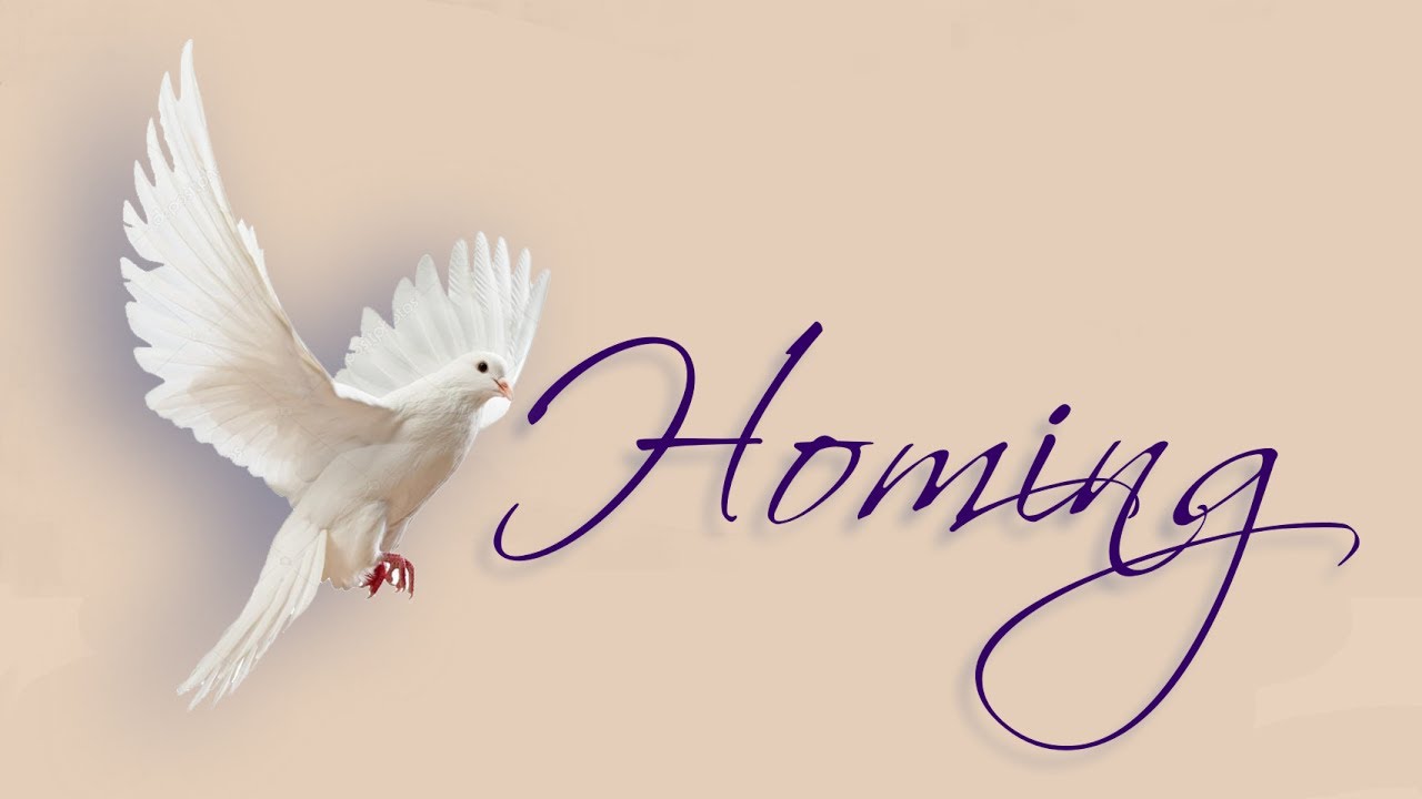 1050 HOMING - REGRESANDO AL HOGAR - YouTube