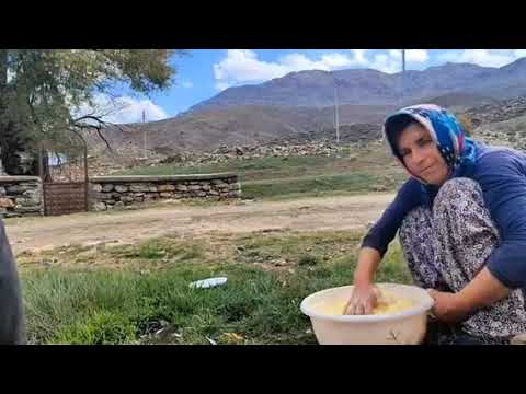 Kuş sesi 