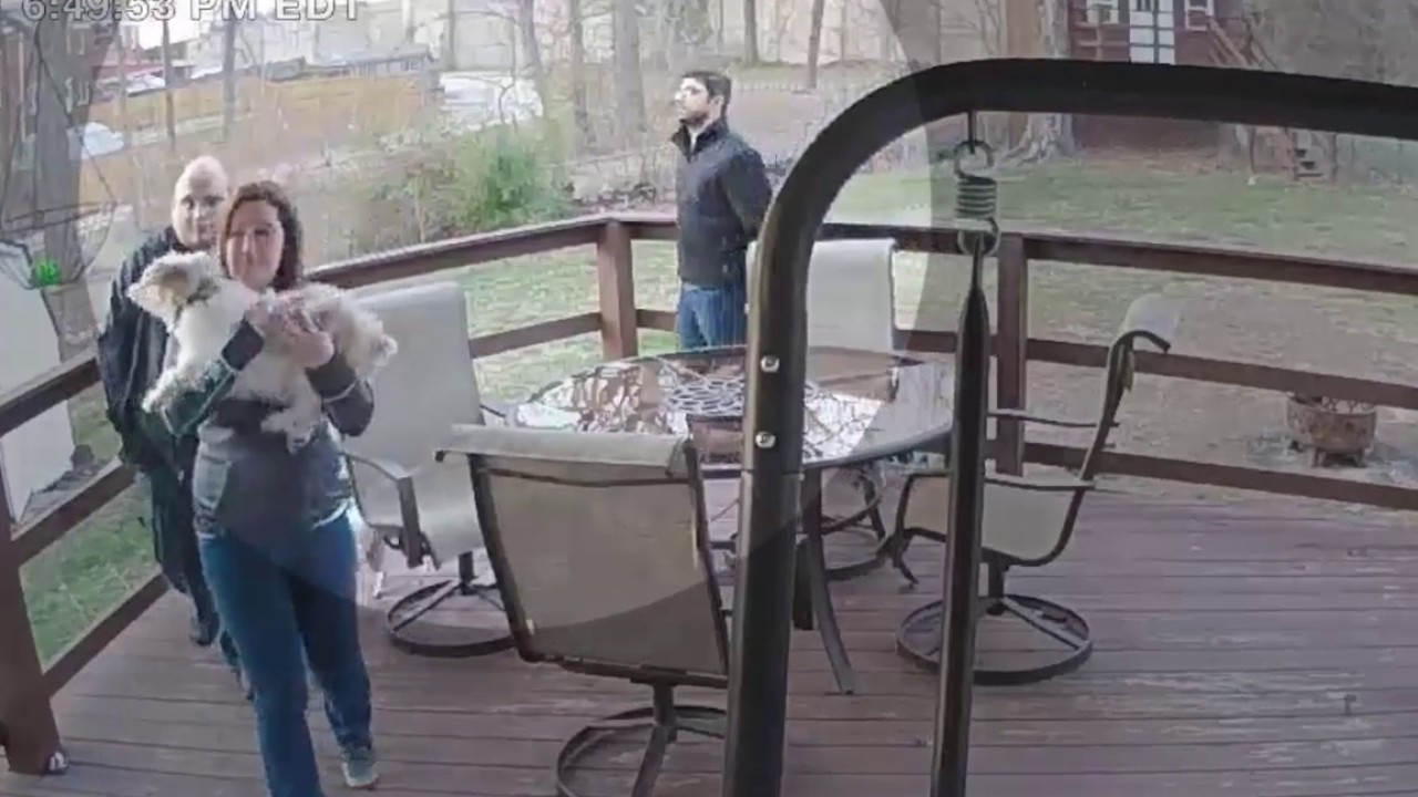 Flying Squirrel Attack Captured By Kuna! - YouTube
