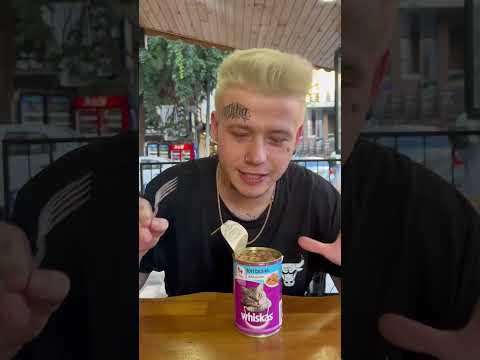 Kedi Mamasını Yiyorum | Alex Efsane Tiktok Videolar | Gündem Videolar | #shorts