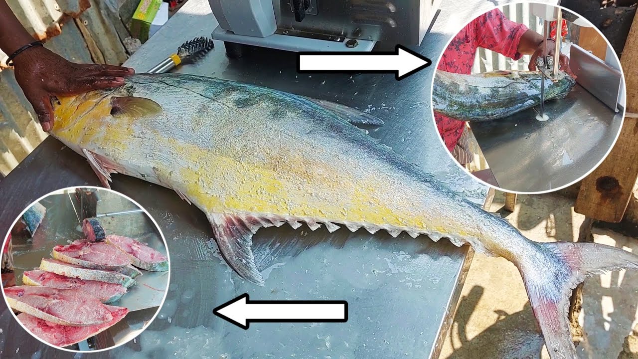 Amazing 10 KG Giant Rupsha Fish Cutting Skill In Fish Market Bangladesh ...