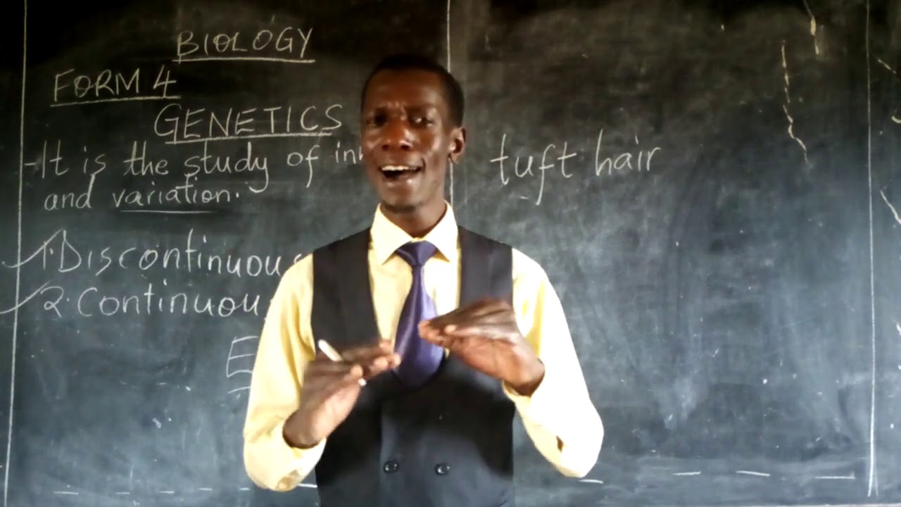 FORM 4-Lesson-2: Types of Variation .mp4 - YouTube