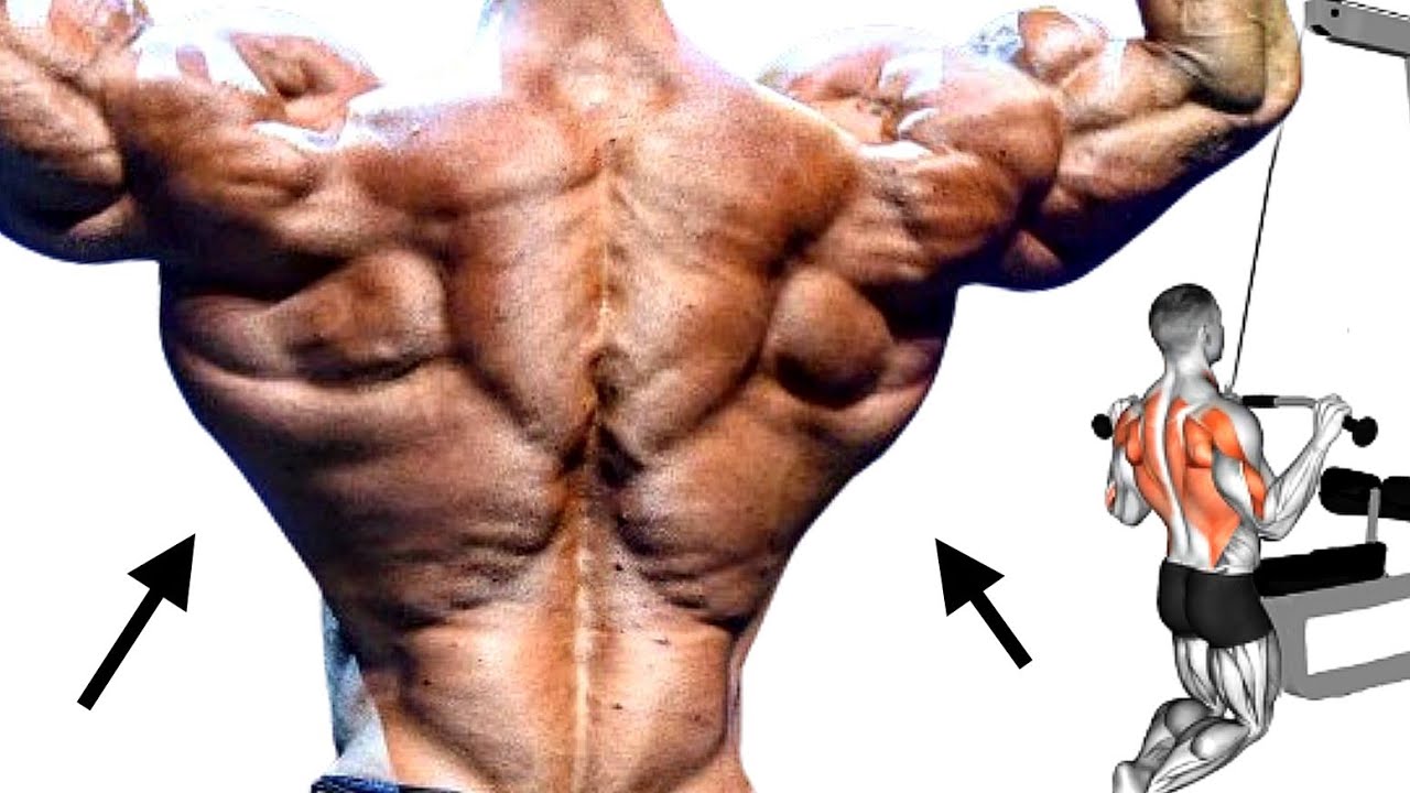 Get Full Huge Back Workout for Width and Thickness - YouTube