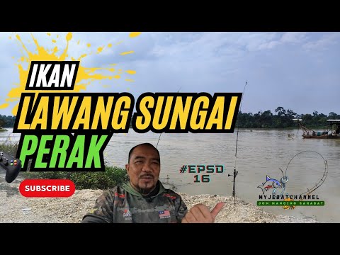 #EPSD16 l Ikan Lawang Sungai Perak ️ 28 Ramadhan 1445 ️ Lauk Sedap ...