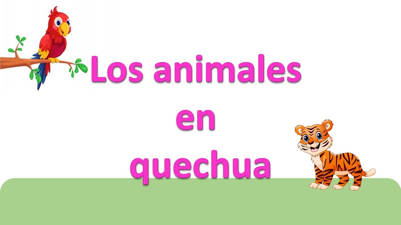 Quechua Language Alphabet And Pronunciation How To Write The Quechua