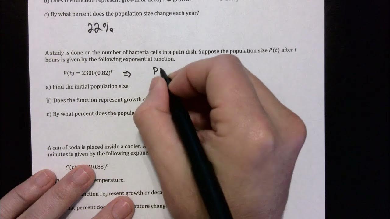 Find the Initial Amount and Rate of Change Given an Exponential Function - YouTube