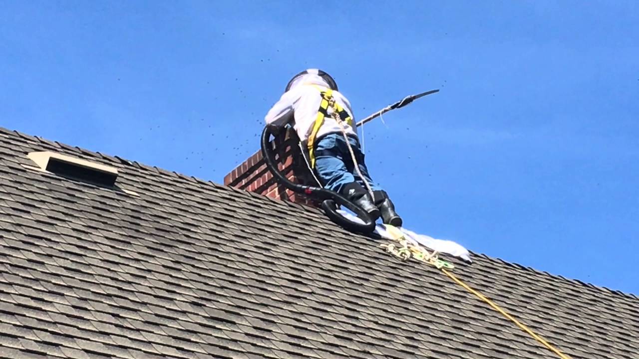 Tough honey bee removal - YouTube