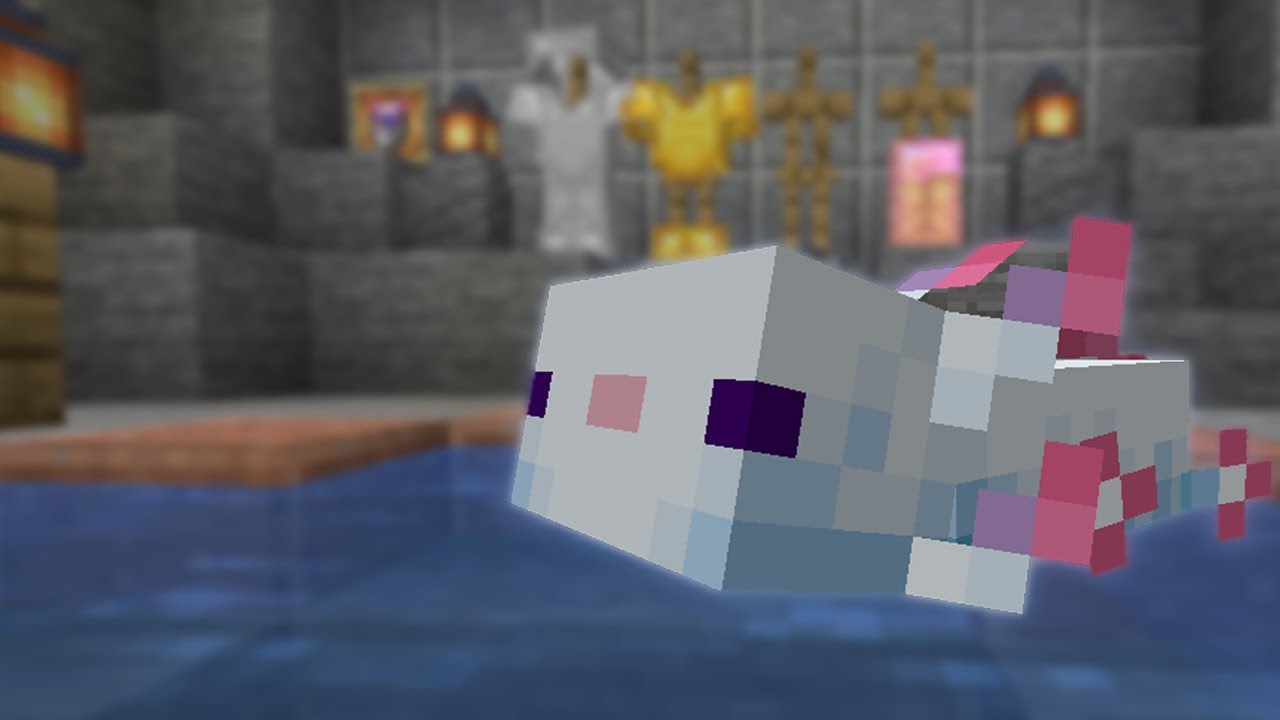 THE CUTEST PREDATOR - Minecraft 1.17 - YouTube