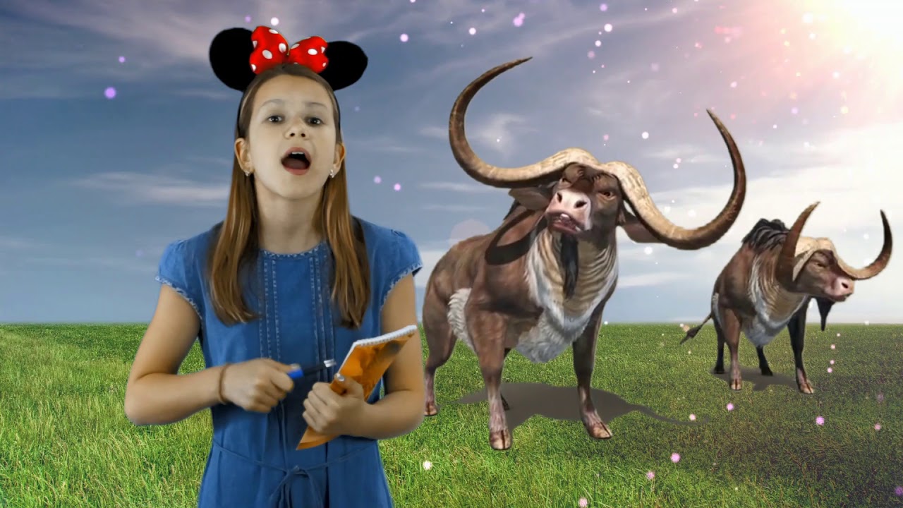 Maryna Kovalenko / Марина Коваленко - Стихотворение 'Старательные совы ...