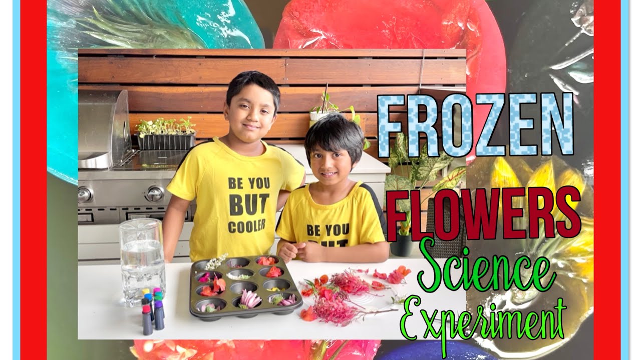 FROZEN FLOWER Science Experiment | kids Educational video - YouTube