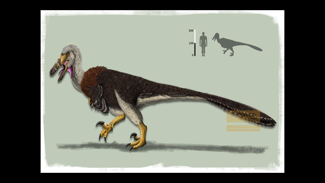 Austroraptor drawing in timelapse | @ttorroo - YouTube