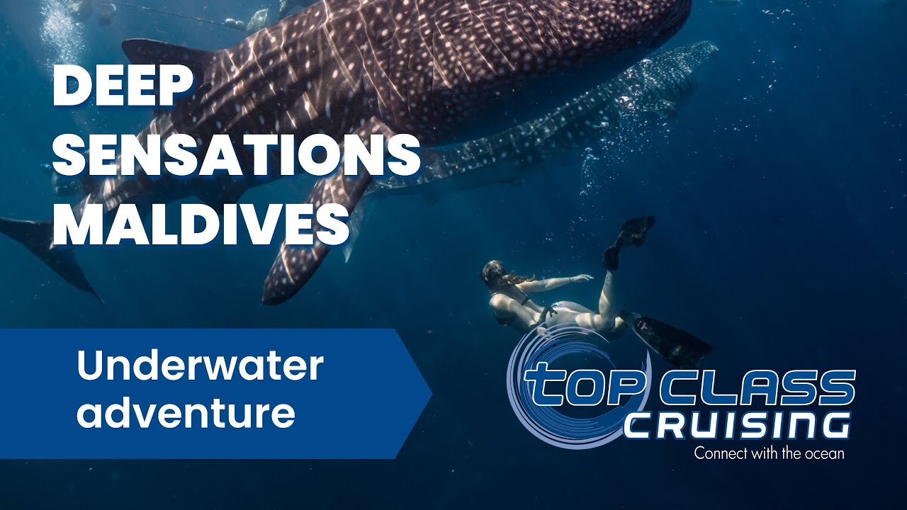 🤿🐢Investing in your life: betting on diving emotions 💓💗 - YouTube