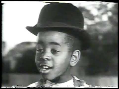 Comedy - 1922 To 1944 - Short Film - Our Gang - The Many Business Of ...