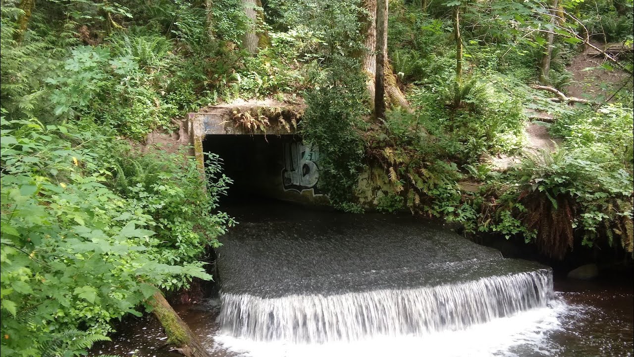 Victor Falls part #2 - YouTube