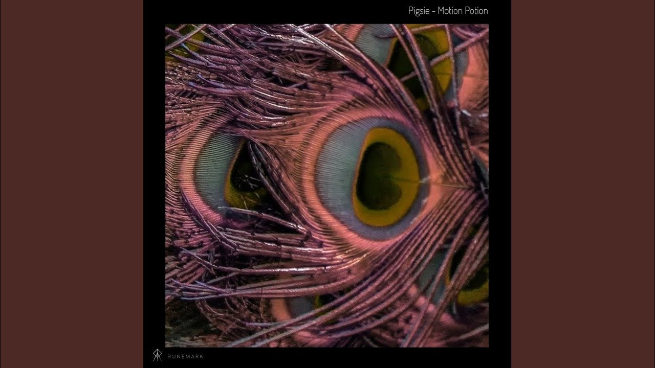 Motion Potion - Pigsie: Song Lyrics, Music Videos & Concerts